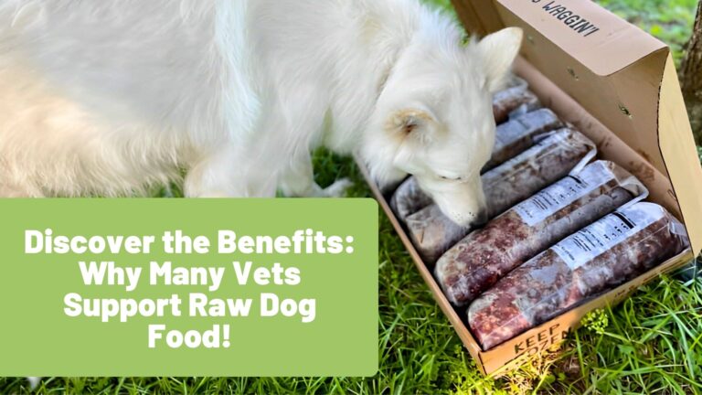 Discover the Benefits: Why Many Vets Support Raw Dog Food! - Raw ...