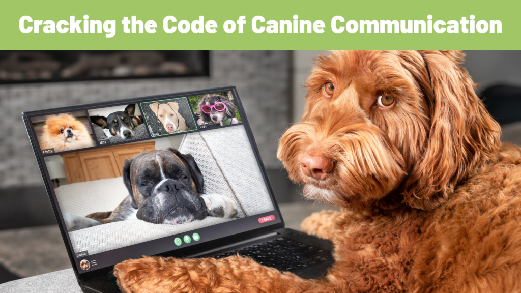Woof Whisperer: Cracking the Code of Canine Communication - Raw Origins ...